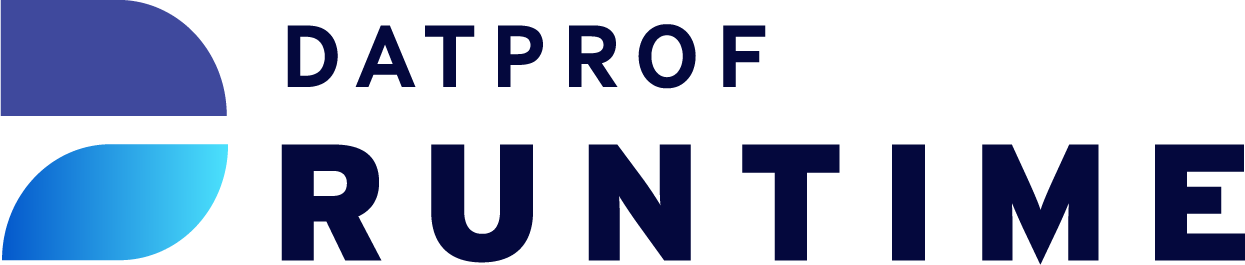 DATPROF Runtime Training